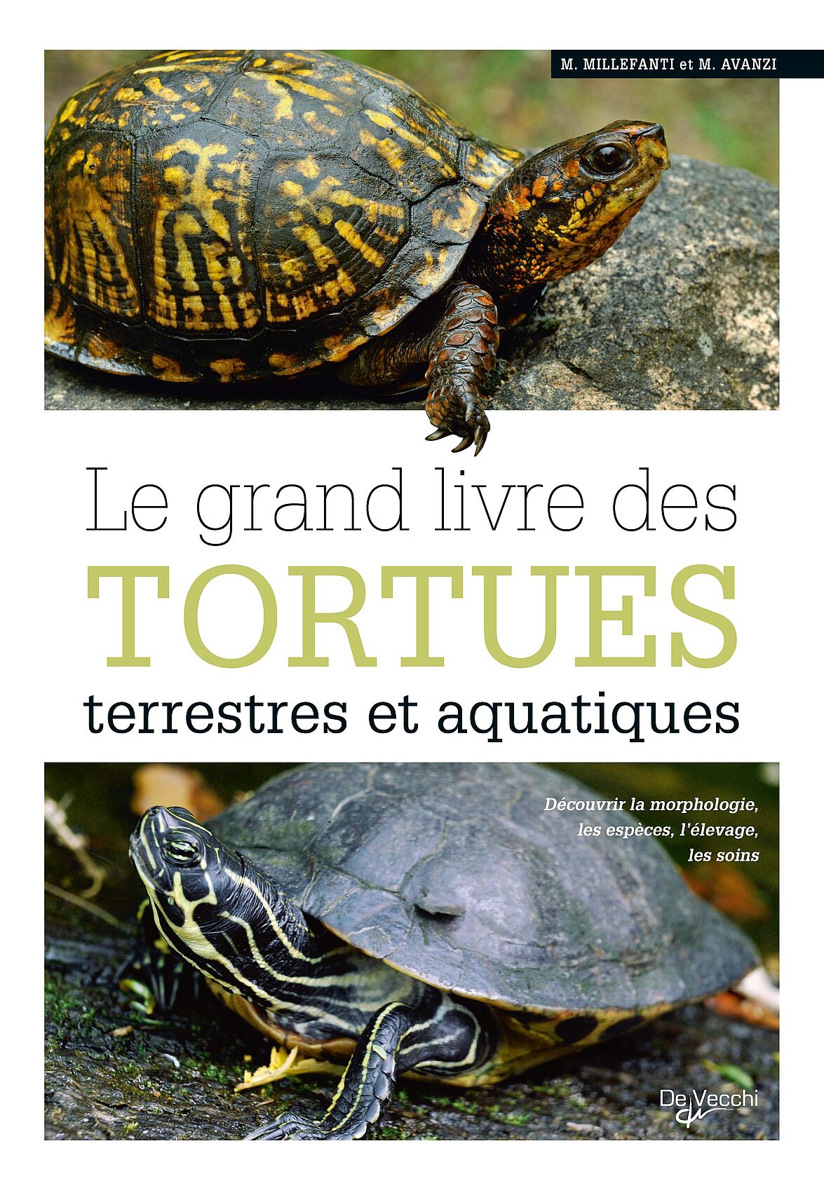 Le grand livre des tortues terrestres et aquatiques - Fondation 30 ...