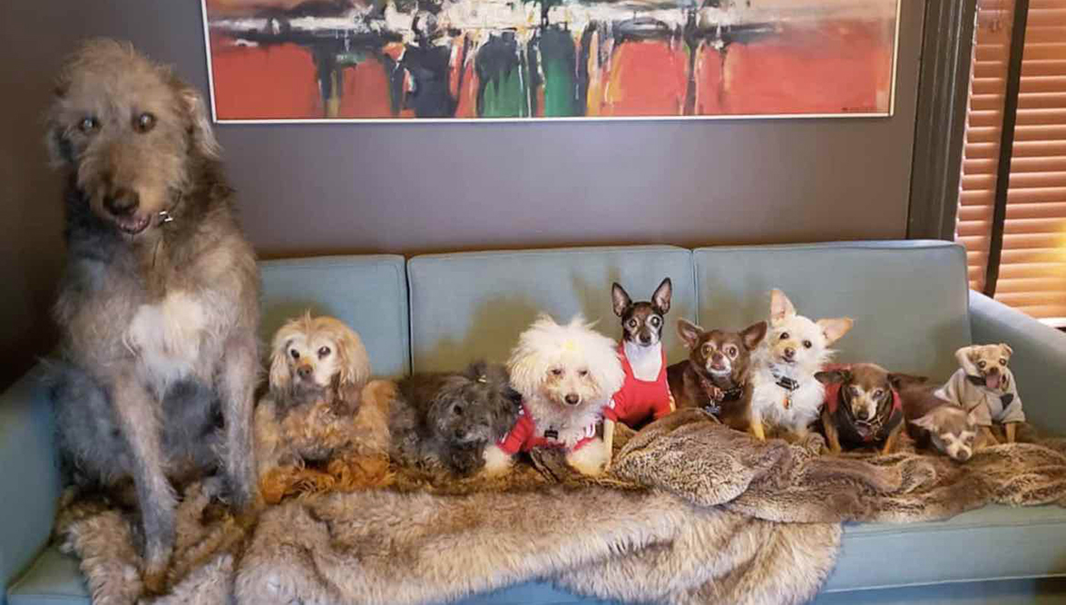 La cour des miraculés ! - Fondation 30 Millions d'Amis