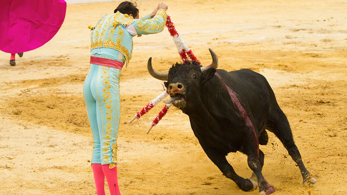 Abolition de la corrida : la proposition de loi sabordée ? Pas si sûr ...
