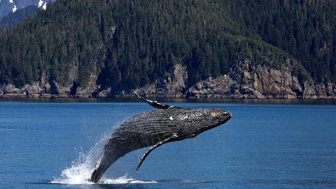 3 choses importantes que vous ignorez (peut-être encore) sur les ...
