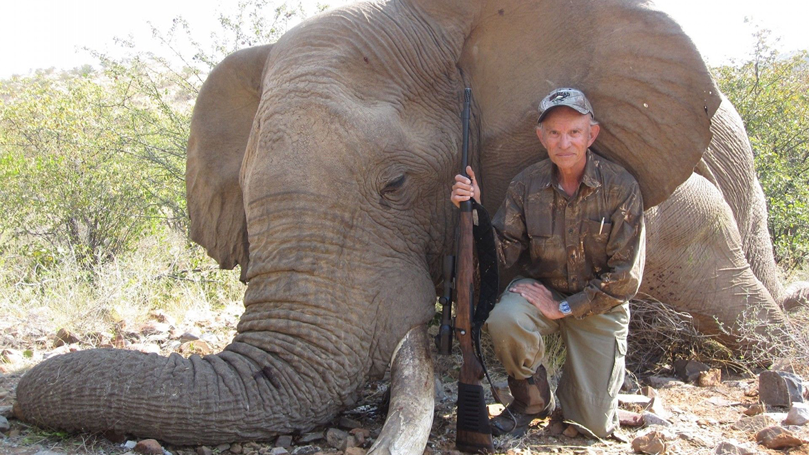 La chasse aux éléphants, nécessaire pour « réguler » les populations ...